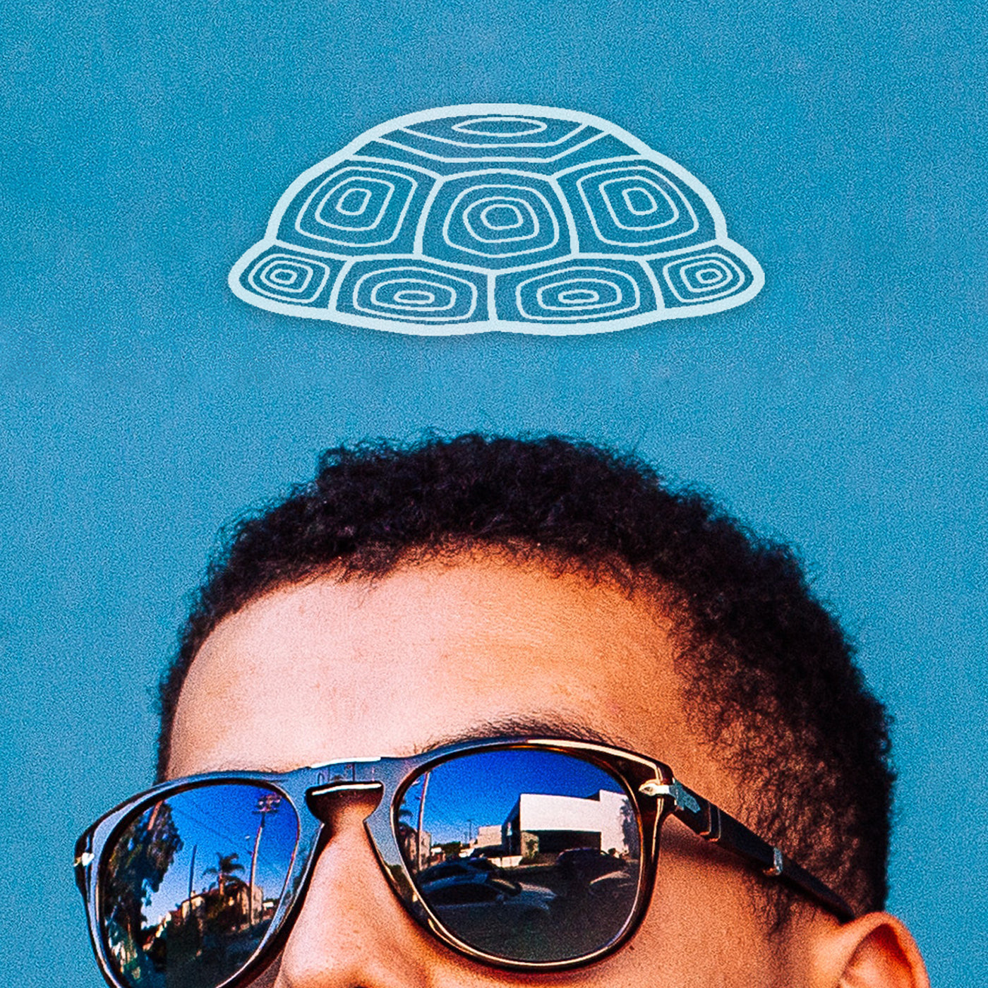 Can Hair Fibers Promote Hair Growth? – Tortoise & Hair